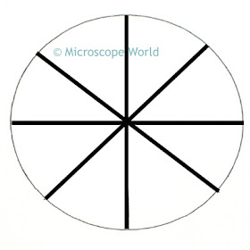 Microscope World Blog: Microscope Reticles