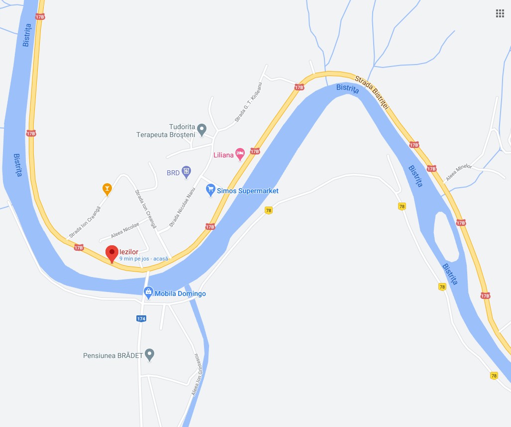 STRAZI SI ALEI DIN BROSTENI - ORASUL BROSTENI