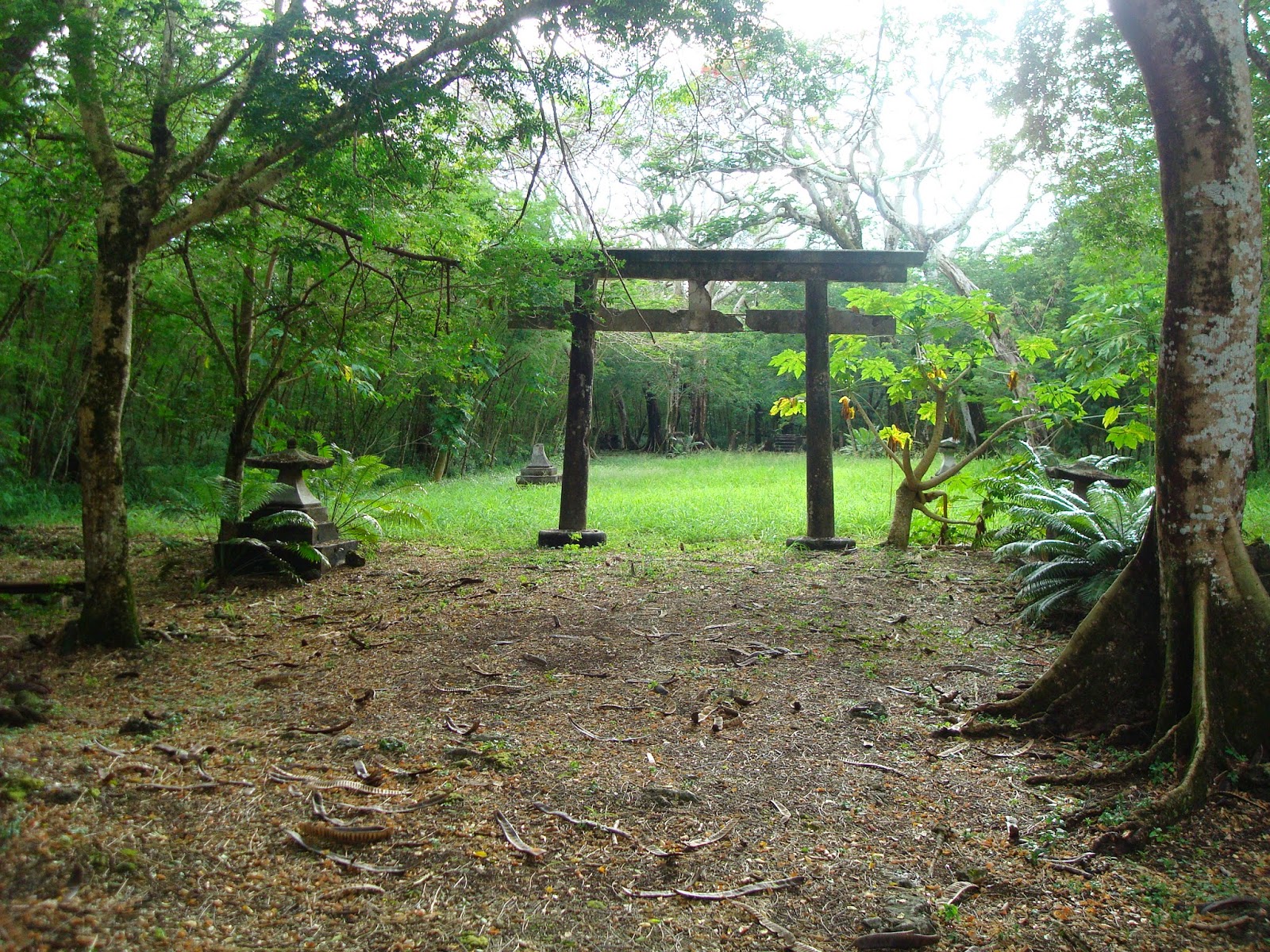 paleric: JAPANESE TINIAN