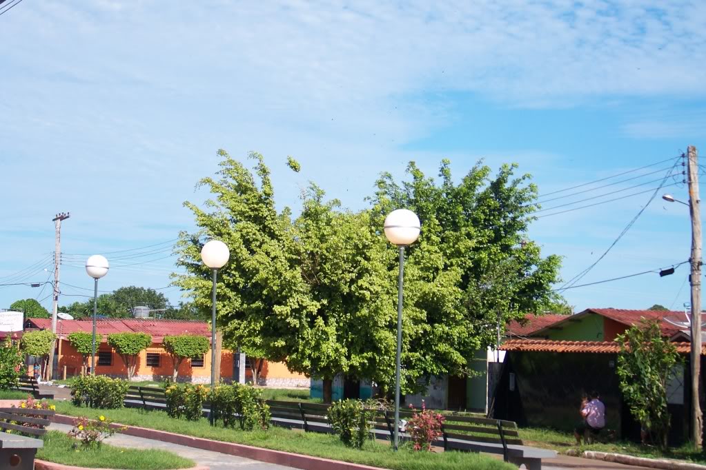 VIAGEM, TURISMO E AVENTURAS POR LUGARES INCRÍVEIS : COARI / AMAZONAS ...