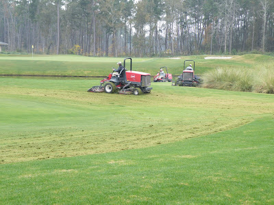 Redstone Golf Club Agronomy: Growing in Ryegrass Rough - Winter Time in ...