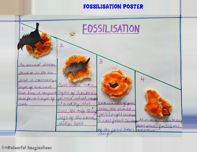 COLOURFUL IMAGINATIONS !!!!!!!: FOSSILISATION POSTER