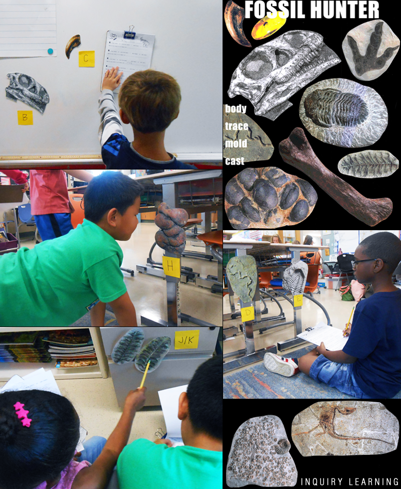 E is for Explore!: Fossil Hunter