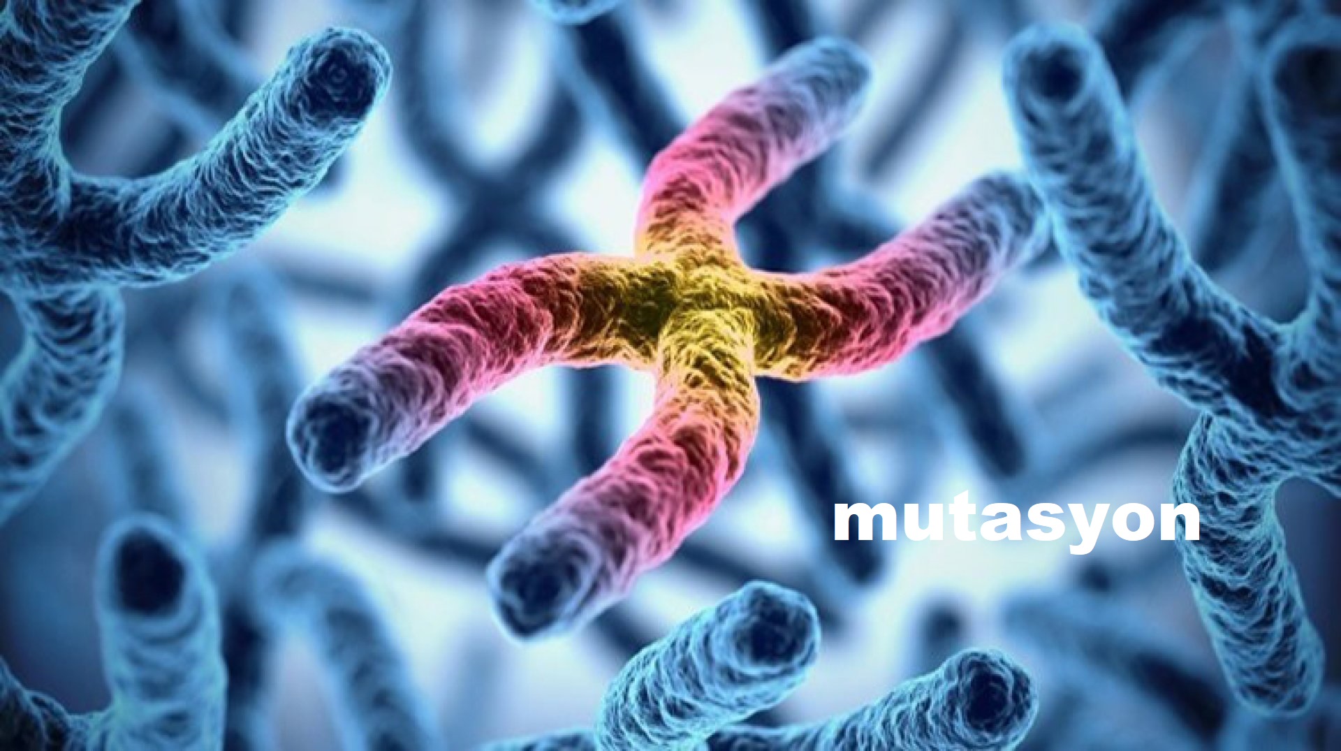 mutasyon - BilginCin