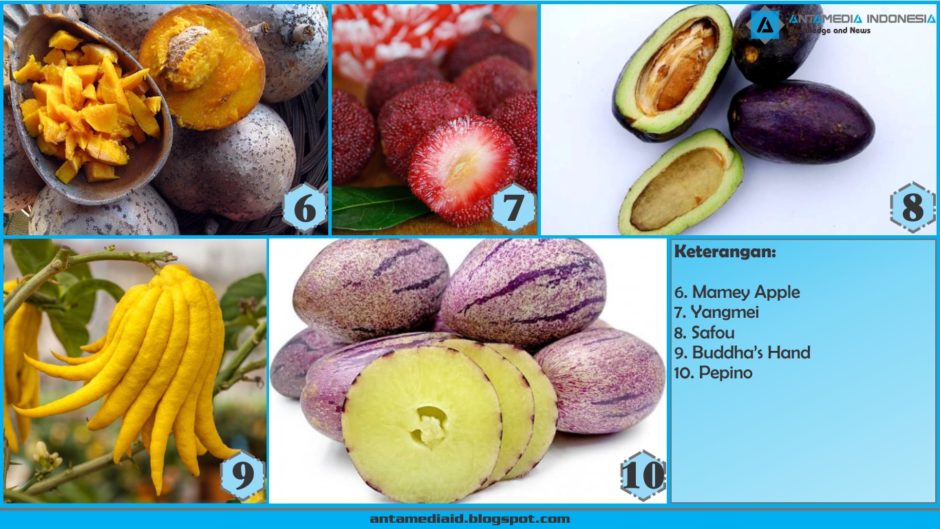 Ternyata Seperti ini Buah-Buahan Paling Unik dan Aneh di Dunia - ANTAMEDIA INDONESIA
