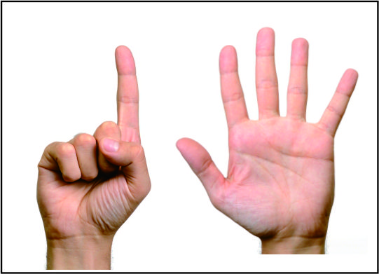 Soal K13 Kelas 1 SD Tema 1 Diriku Subtema 2 Tubuhku Dan Kunci Jawaban ...