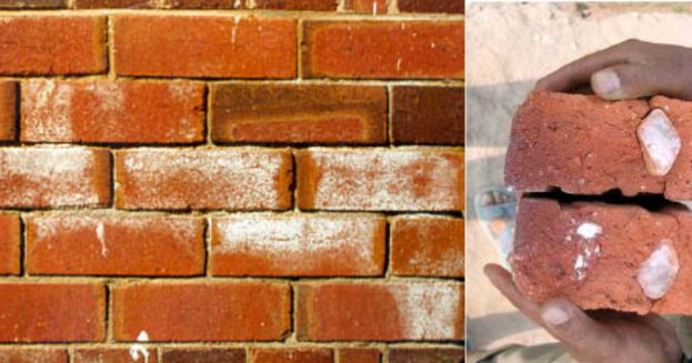 Constituents of good brick earth: | Edesemi Tech