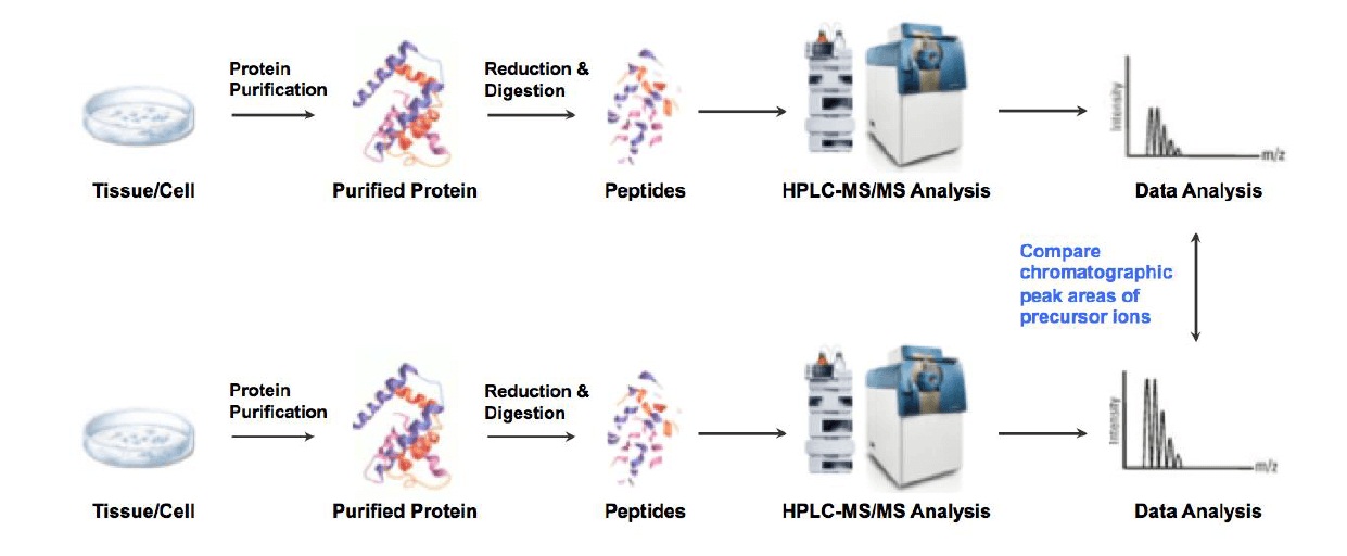 Techniques for Quantitative Proteomics Techniques for Quantitative Proteomics