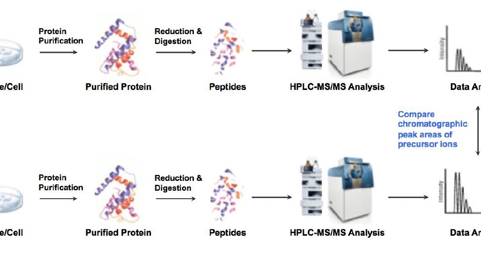 Techniques For Quantitative Proteomics