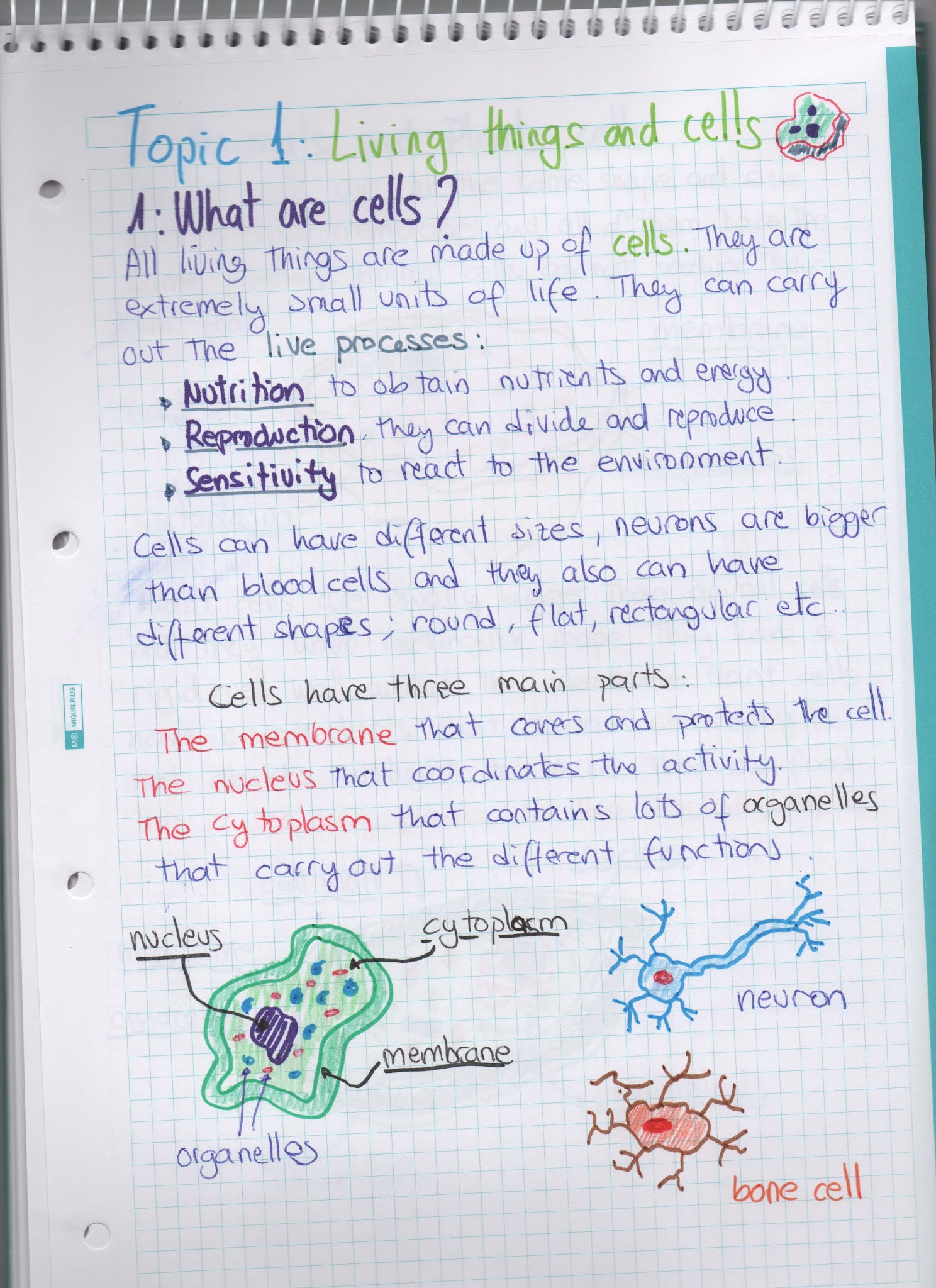 Natural Science 5th course: UNIT 1: LIVING THINGS AND CELLS
