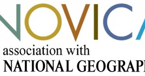 The Enchanted Tree: Novica- review and Giveaway!