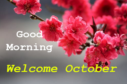 Top 10 Good Morning Welcome October Greetings Images, Pictures, photos ...