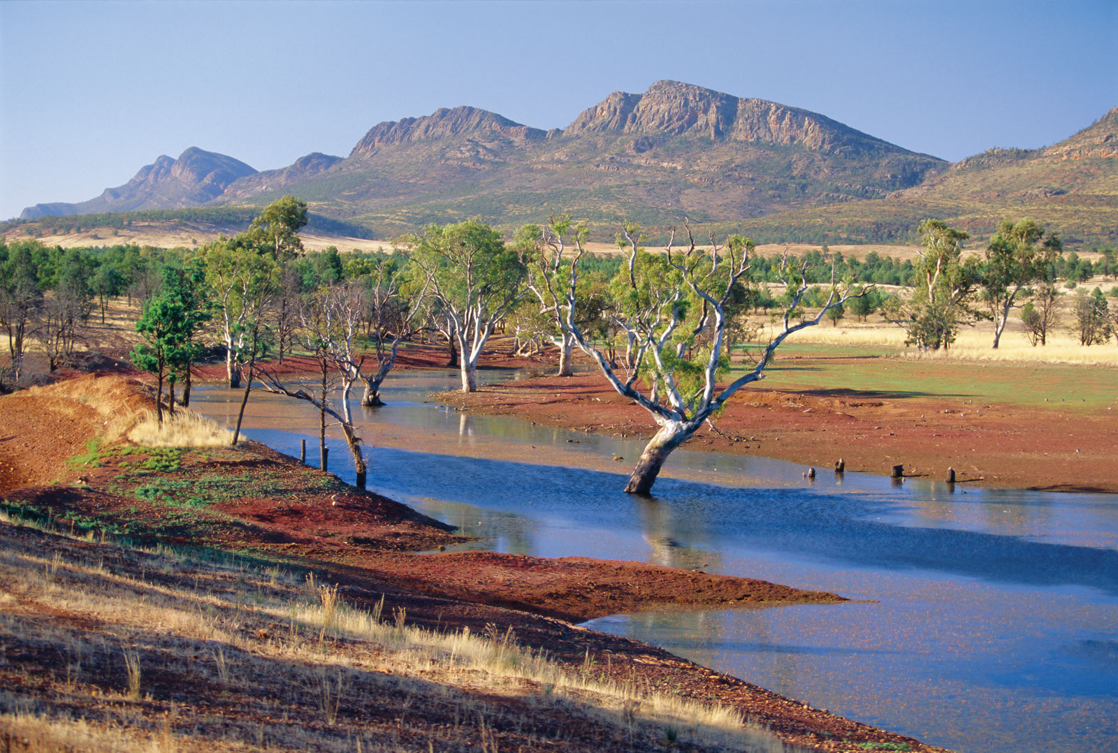 The Pocketeers: The Joy Of Setting