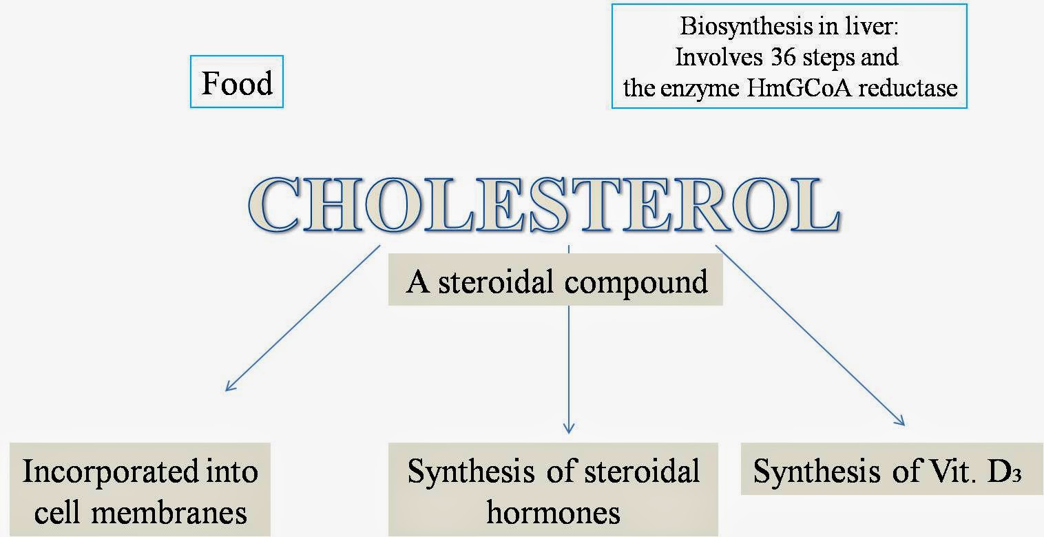 PHARMACEUTICALS AND HEALTHCARE: The growing cholecalciferol (Vit. D3 ...
