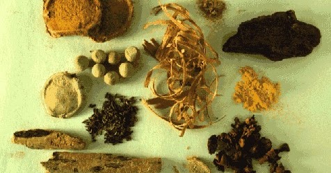 Proses Pembuatan Simplisia yang Baik | Farmakognosi Tanaman Obat ...