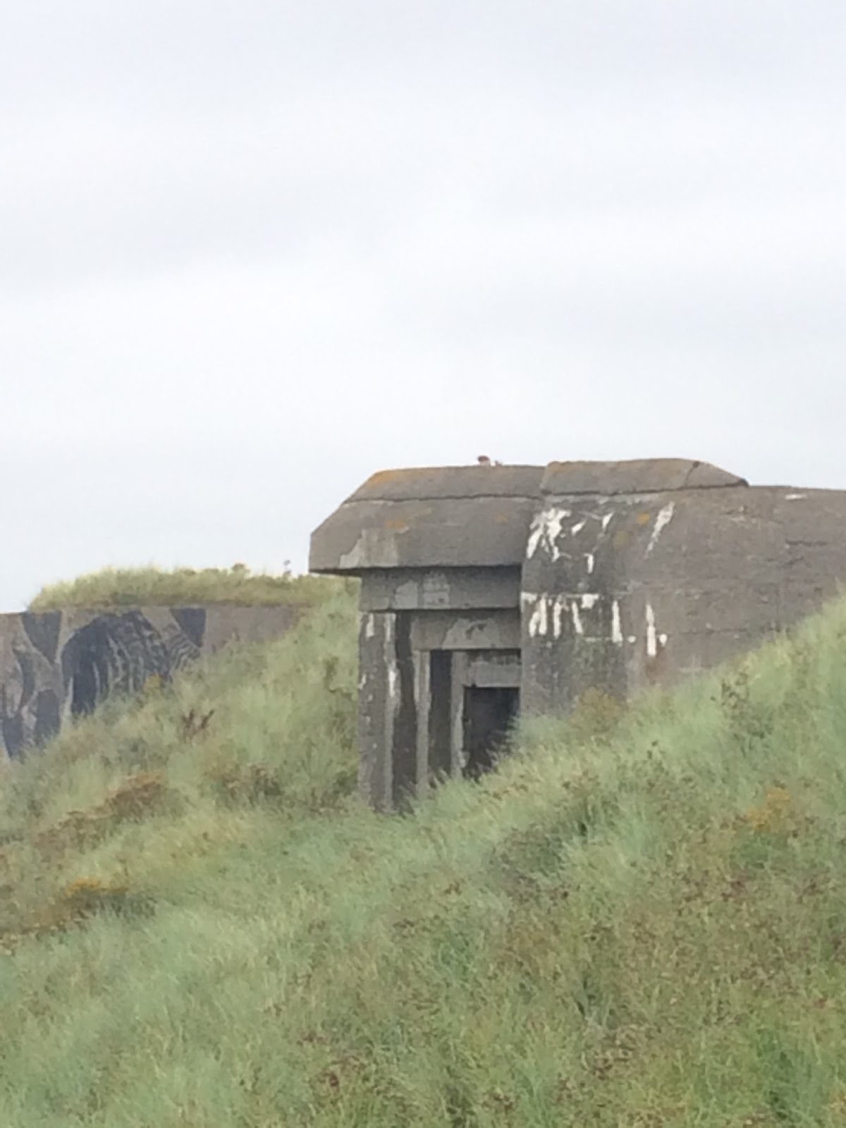 bunkers: Bunkers Scheveningen IV - Marine Seeziel Batterie
