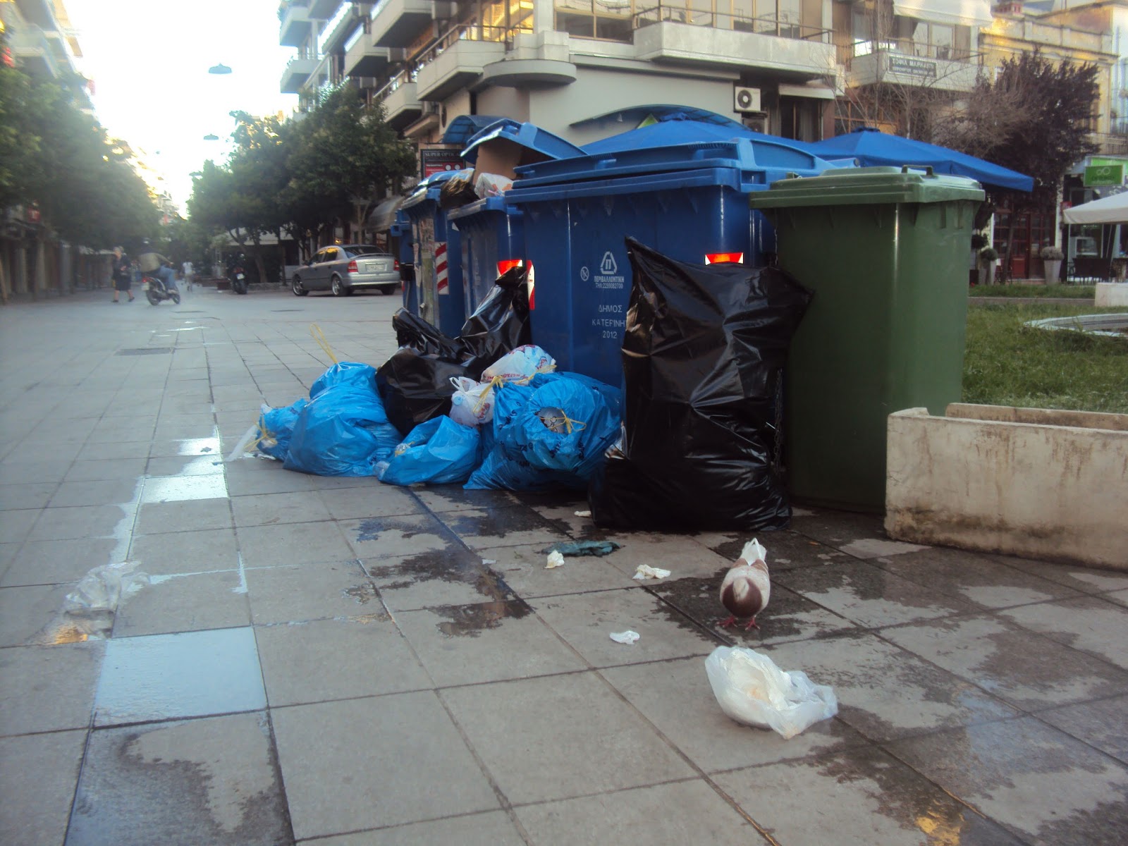 ΛΕΥΤΕΡΙΑ: ΠΡΩΙΝΗ ΕΙΚΟΝΑ ΣΤΗΝ ΠΛΑΤΕΙΑ ΕΛΕΥΘΕΡΙΑΣ ΣΤΗΝ ΚΑΤΕΡΙΝΗ...