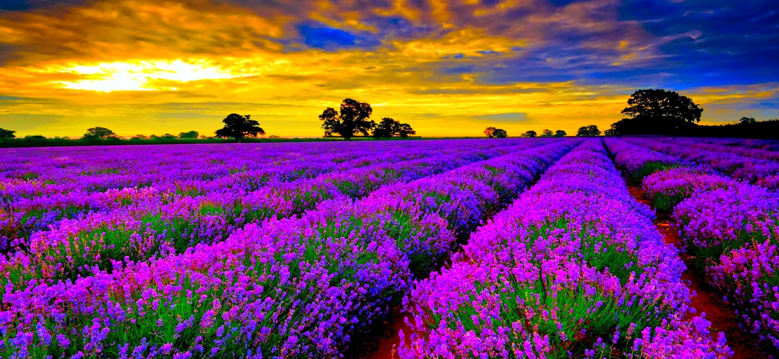 What's new on 123 Drivers ?: Six most colorful places in the world