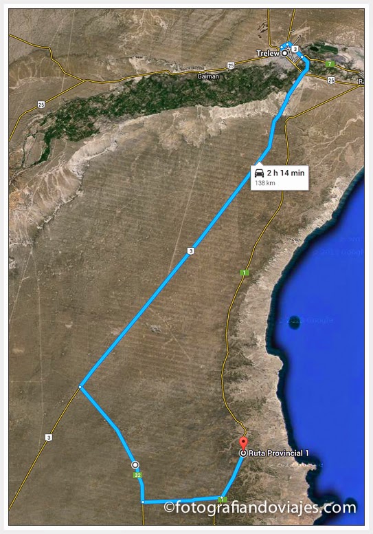 Punta Tombo: un millón de pingüinos de Magallanes en Argentina