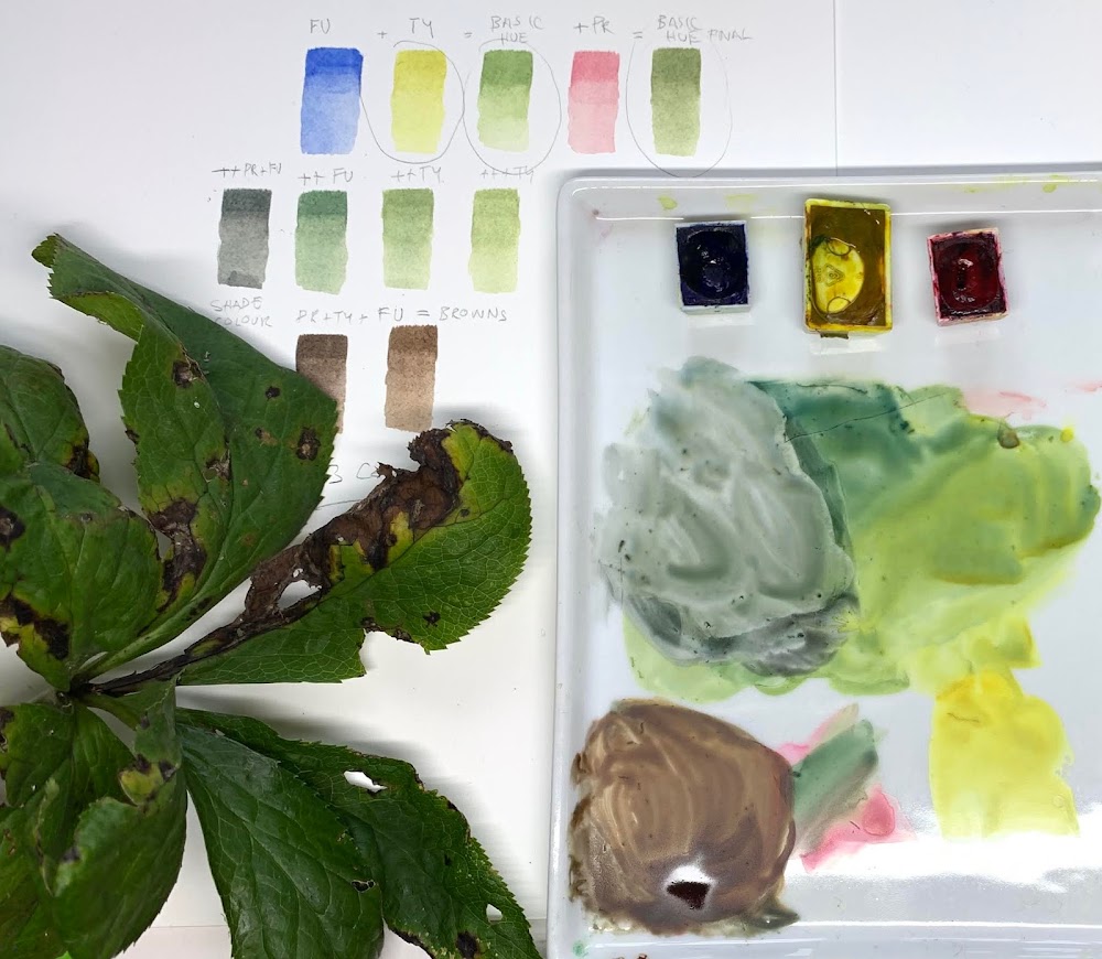 Dianne Sutherland: Primary Palette Colour Mixing