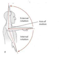 Fitness Untangled with Michael Reinhardt: Shoulders Part II: Movement