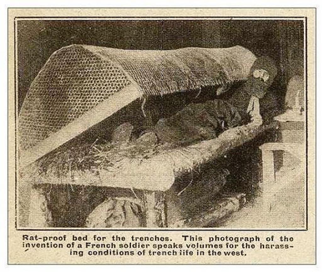Military History Of the 20th Century: Trench Rats Of World War 1photo 1