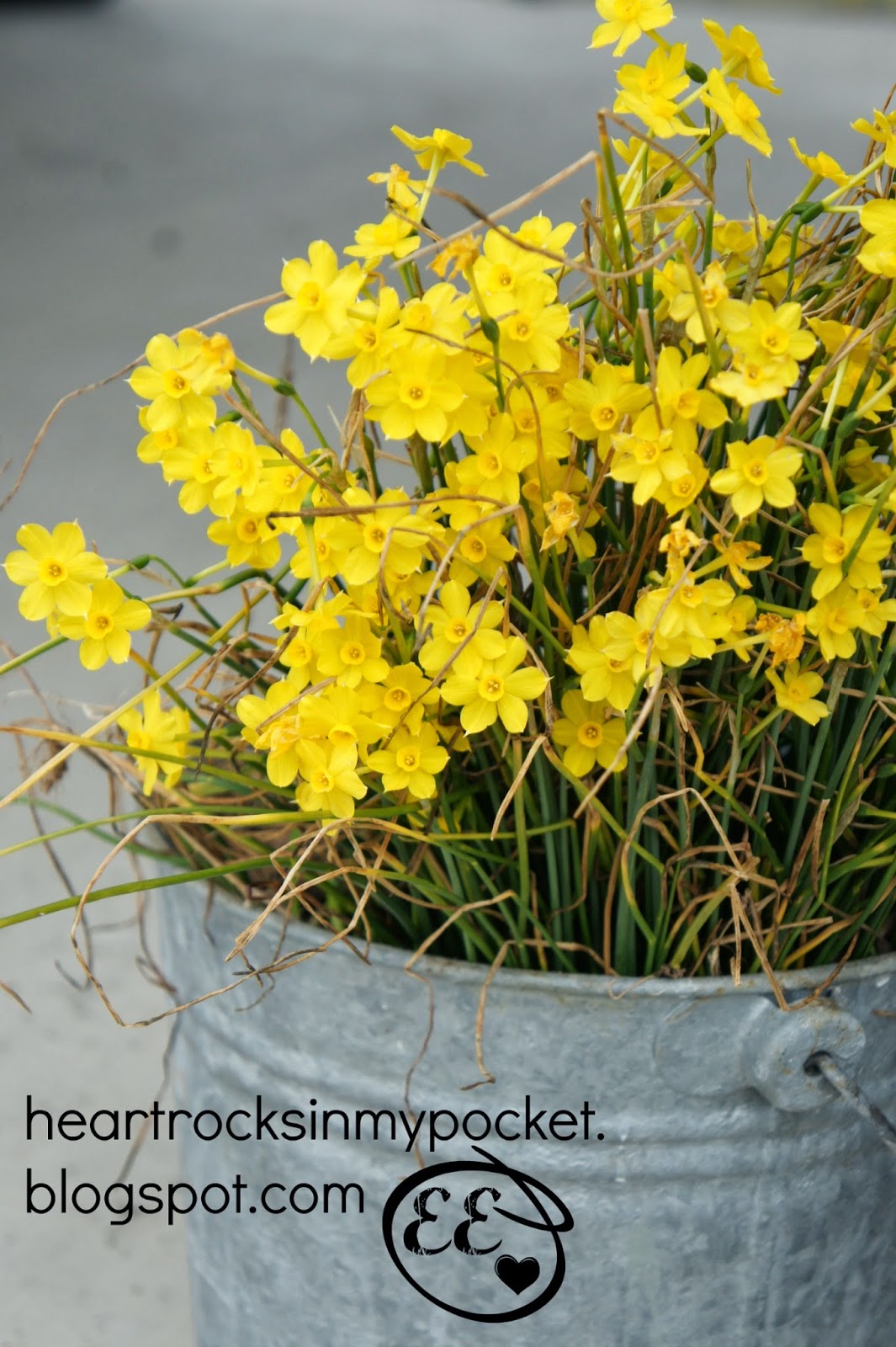 Heart Rocks In My Pocket: Vintage Glass & Spring Flowers