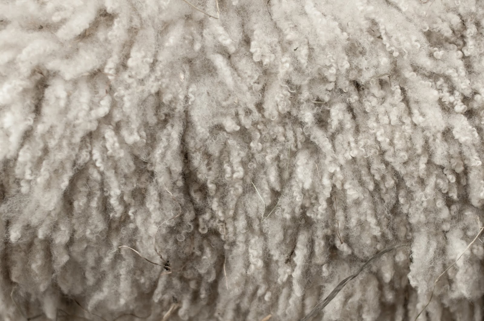 Production of Wool fiber: Manufacturing process fiber making|goat ...