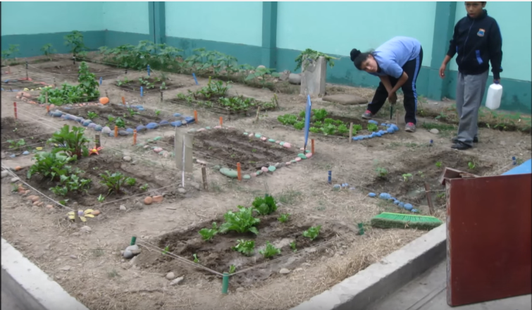 PROYECTO ESCOLAR: BIOHUERTO | CUIDEMOS NUESTRO AMBIENTE CHALACO