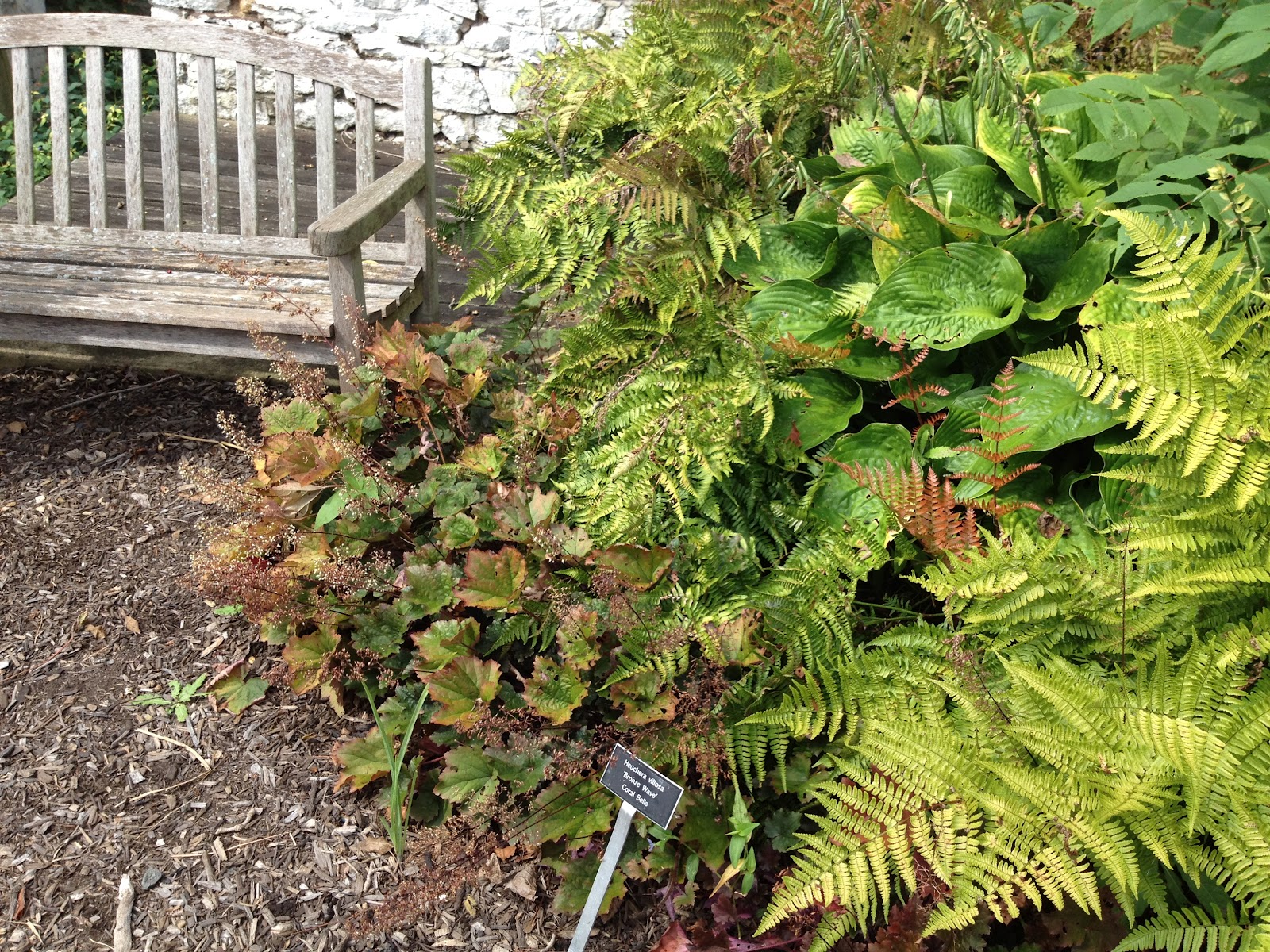 Penn State Extension Philadelphia Master Gardeners : Burpee’s Historic ...