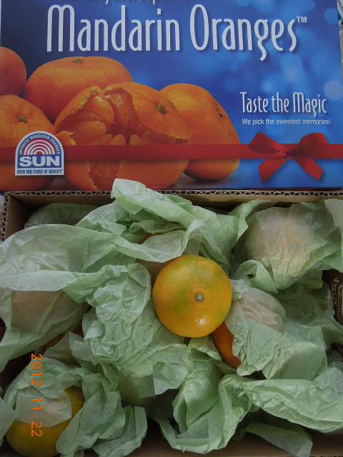 Canadian Hummingbirds: Vancouver: Imported Japanese Mandarin Oranges