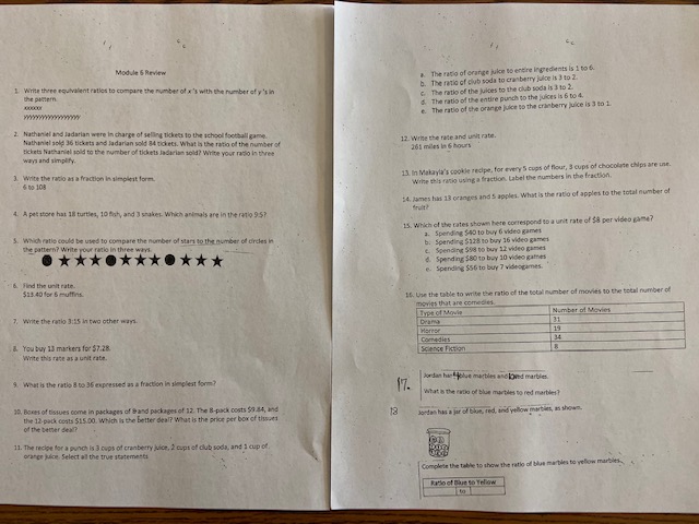 Mrs. Negron 6th Grade Math Class: Module 6 Study Guide