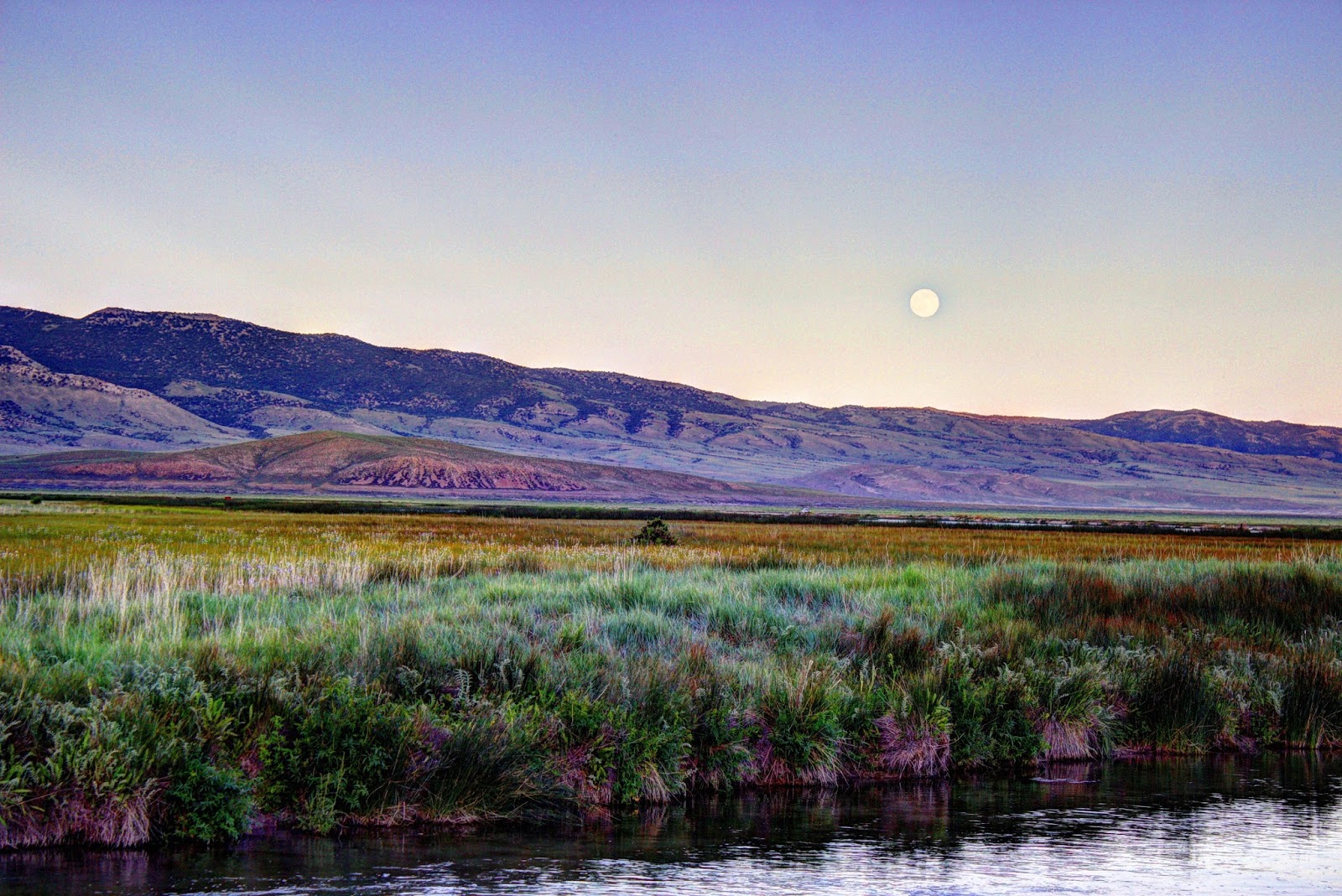 Erik’s Fly Fishing Blog: Ruby Marsh