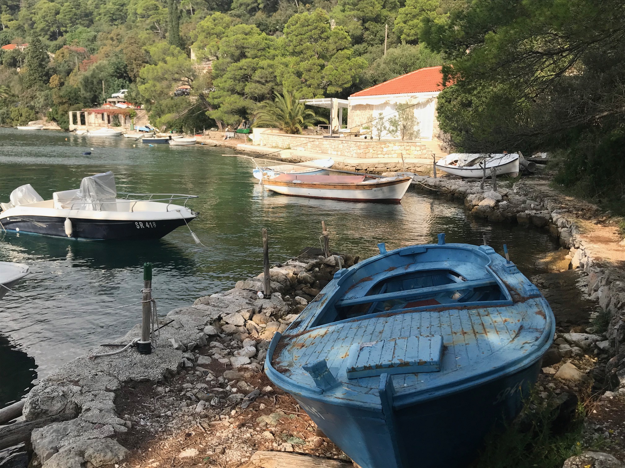 The Garden of Needles: Small Towns of Croatia's Dalmation Coast