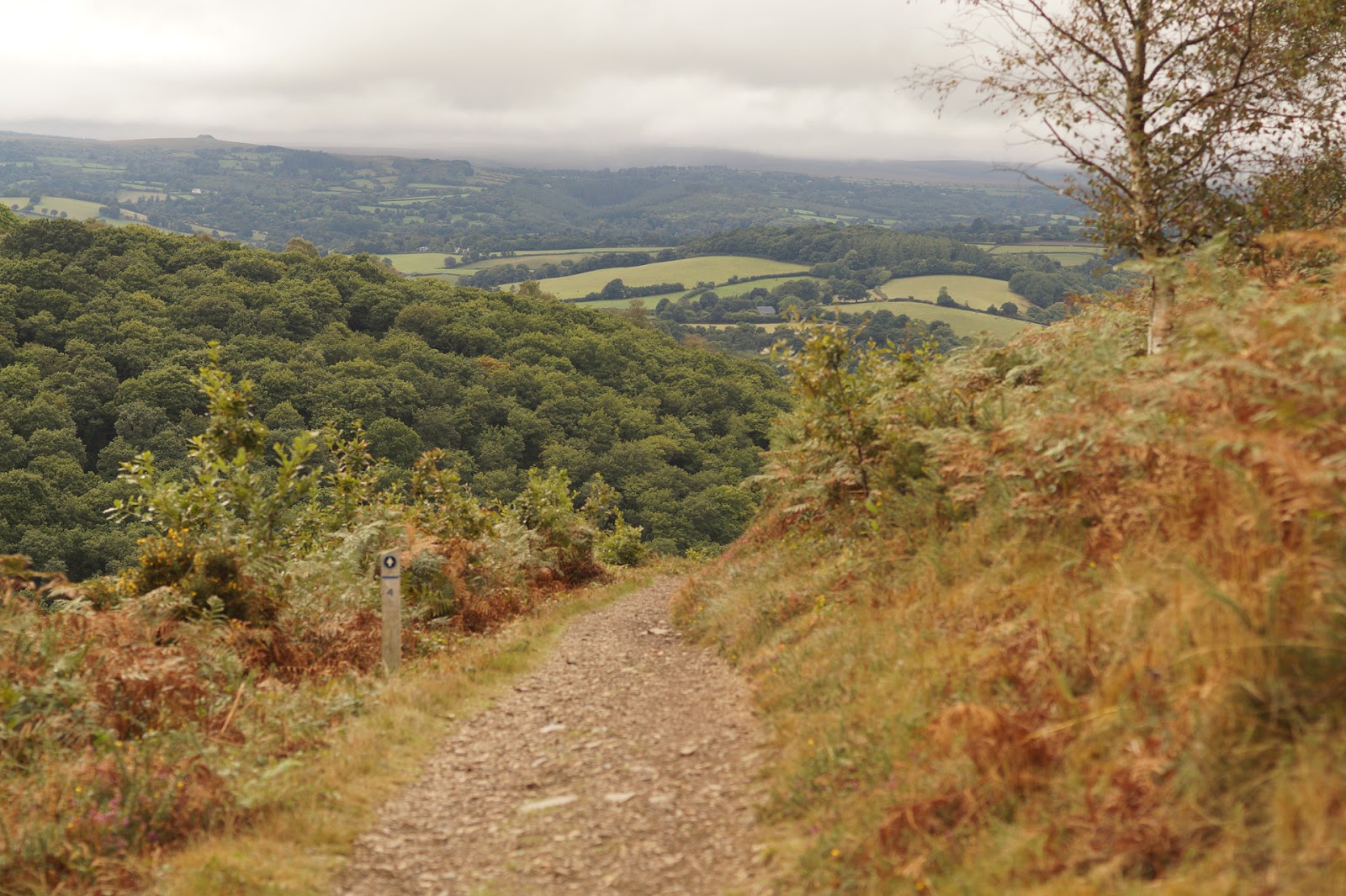 Castle Drogo and the walk to Fingle Bridge through the Teign Gorge ...