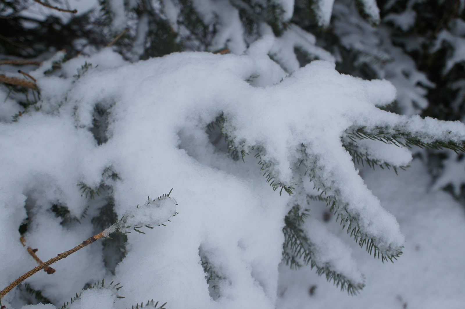 Snow free pictures for commercial use, 5 public domain images