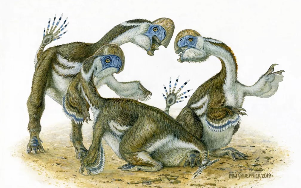 Reptossaurus: Espécie de dinossauro parecida com papagaio é descoberta ...