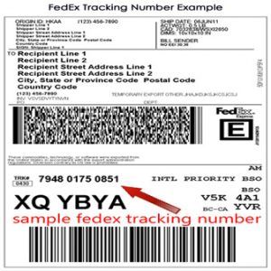 Fedex Shipping Number Example - Invoice Template