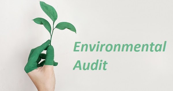 Environmental Audit in Organisations - Environment Talks