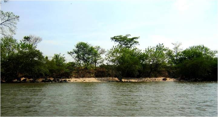 ISLA DE PERICO: IMAGENES