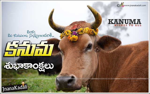 Telugu Kanuma Subhakankshalu-Kanuma Greetings in Telugu | JNANA KADALI ...