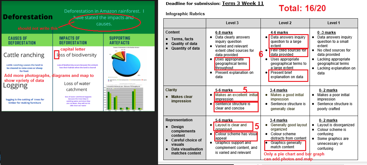 Infographic Grading Rubric
