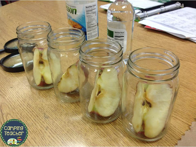 CampingTeacher: Apples Experiment