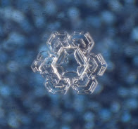 Snow Studio II: ******************** Introducing Snow Studio IV