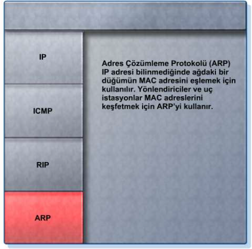 ebi: AĞ PROTOKOLLERİ