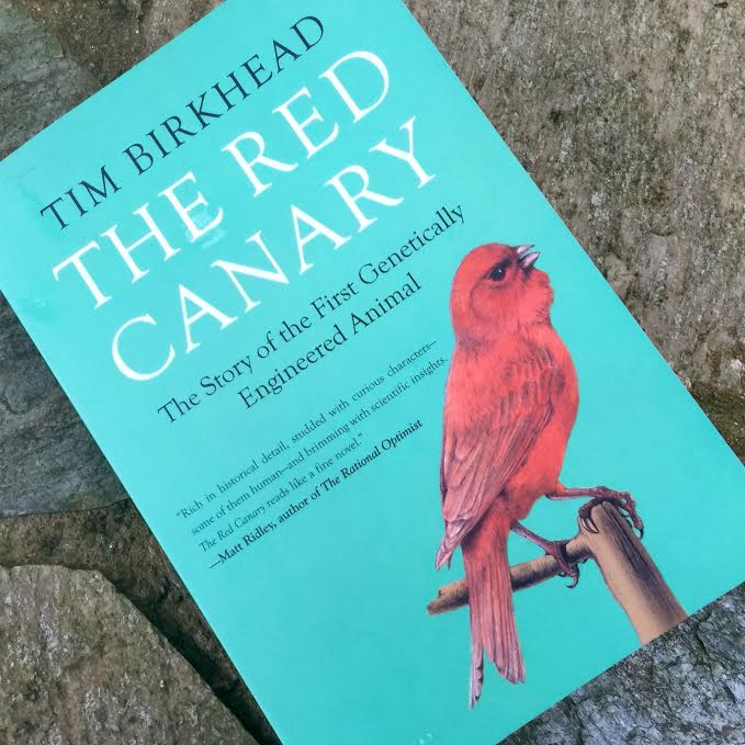 Terrierman's Daily Dose: The Red Canary by Tim Birkhead