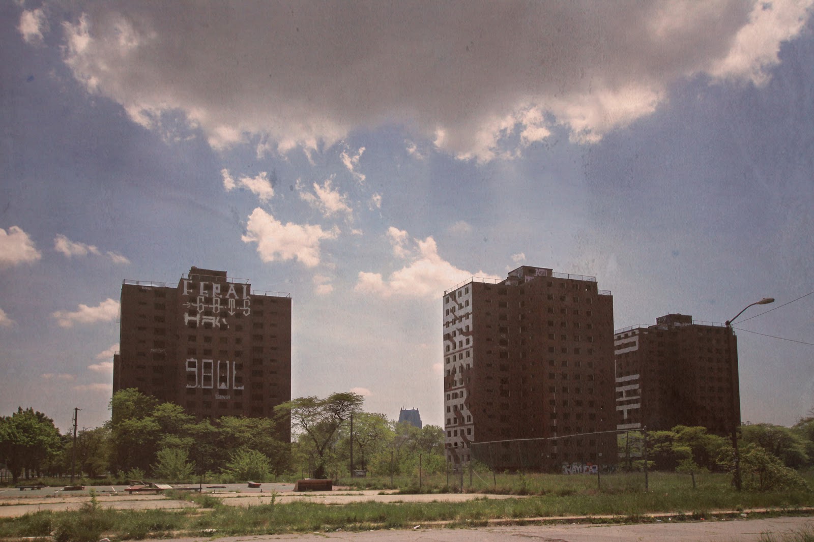 The Orange Door: Brewster Projects: A Visual Legacy