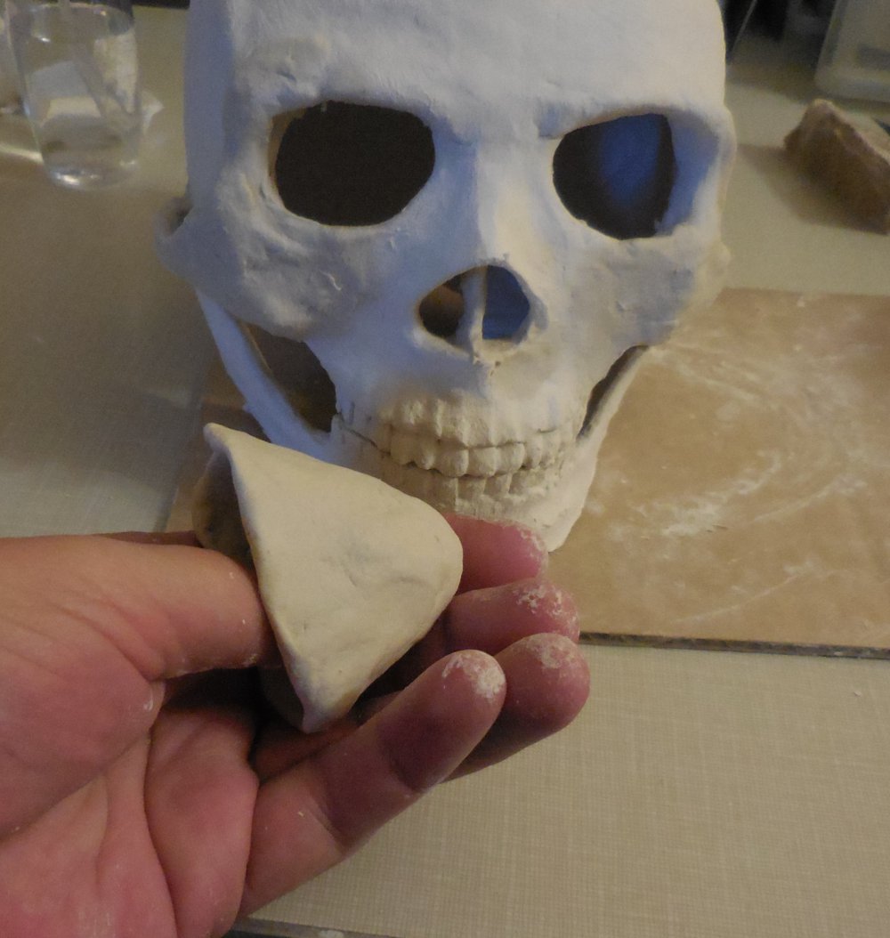 Creative Paperclay® air dry modeling material: Simplified Skull Model ...