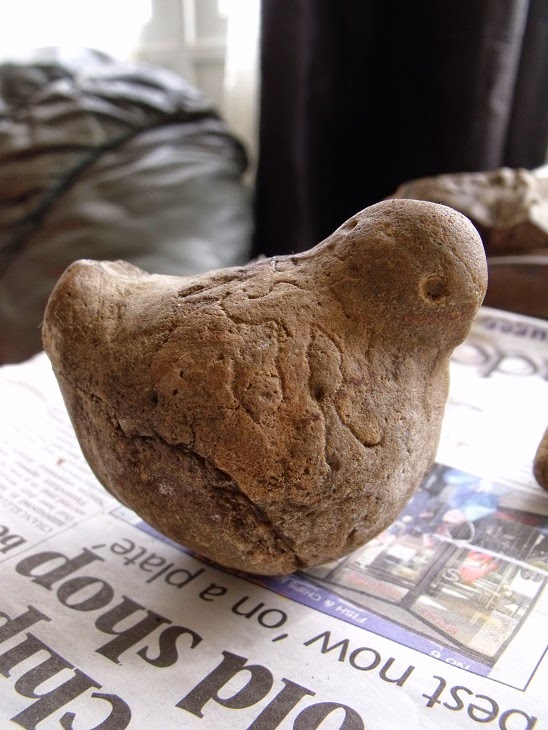 Wild Treasures: Funny Looking Rocks!