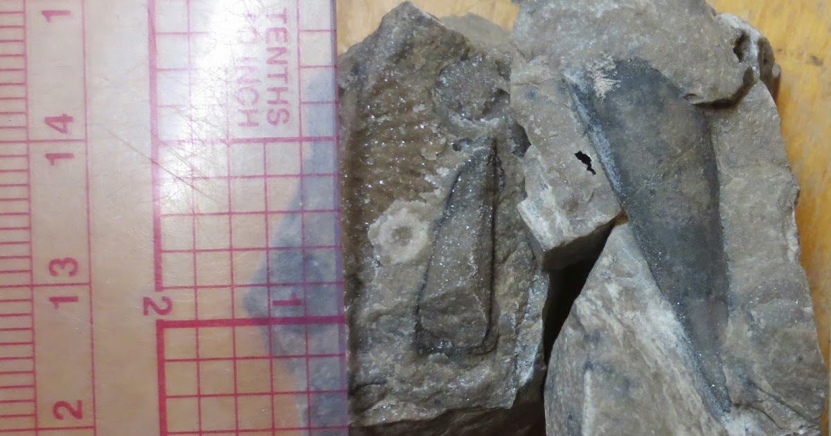 Equatorial Minnesota: Hyoliths II: The Hyolithening